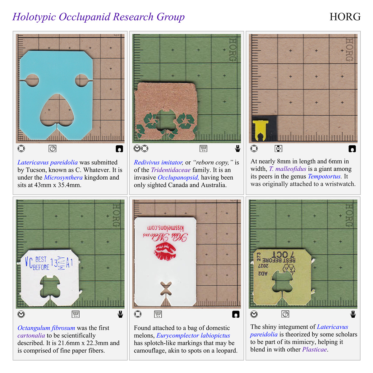 The Holotypic Occlupanid Research Group: A (Silly) Database of ...
